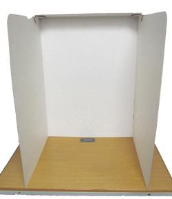 Cardboard Table-Top Voting Screen | VSTT1 | Shaw's Election Supplies